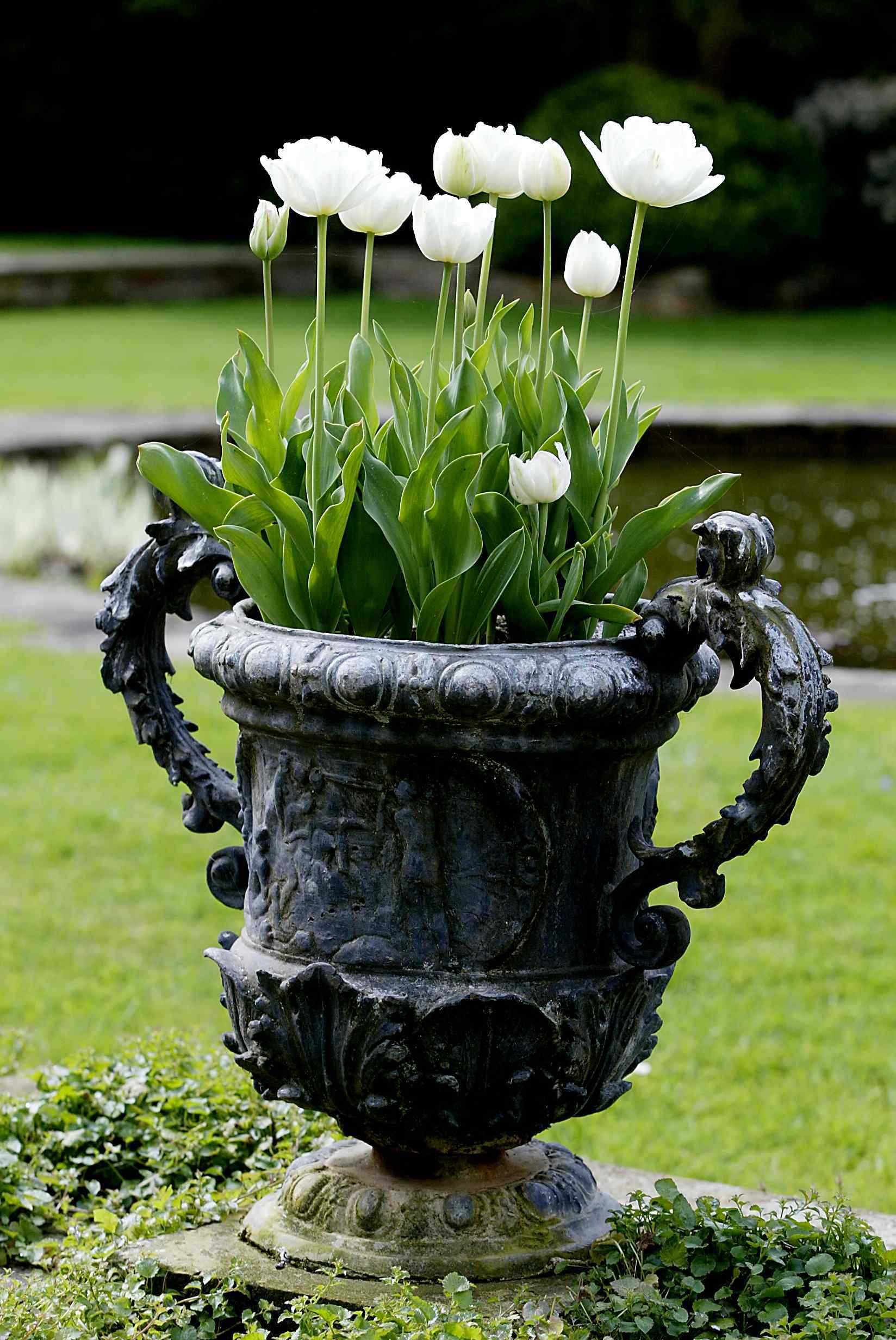 THE POOL GARDEN - Cottesbrooke Hall