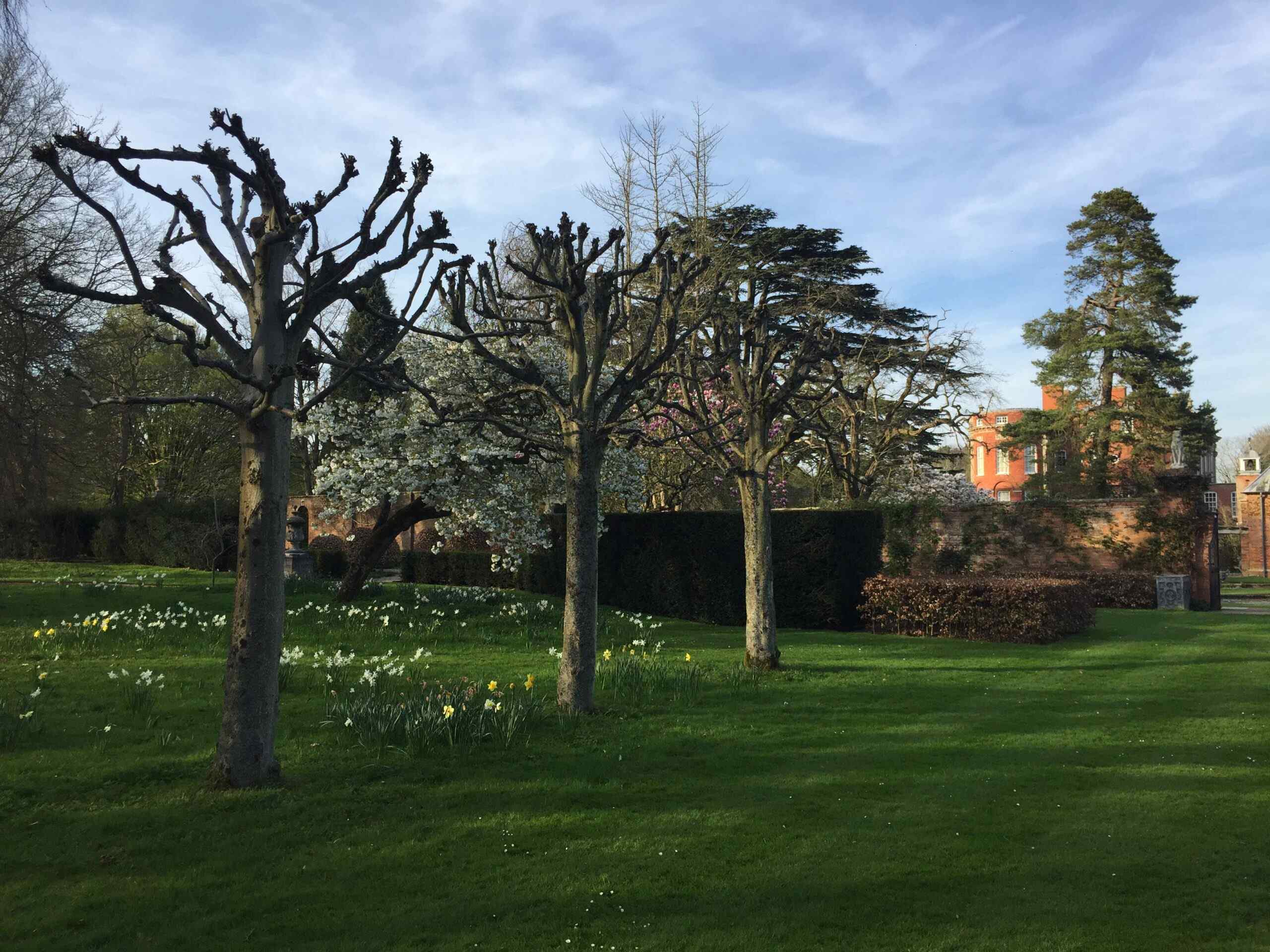 THE SPINNEY GARDEN - Cottesbrooke Hall