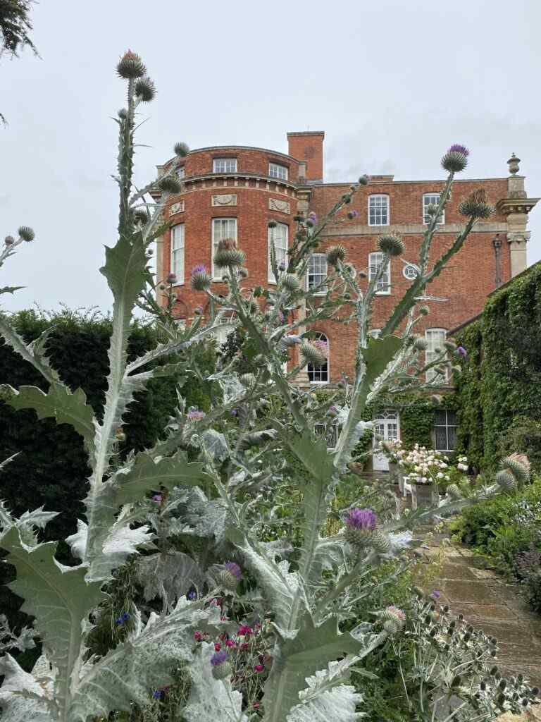 THE TERRACE - Cottesbrooke Hall